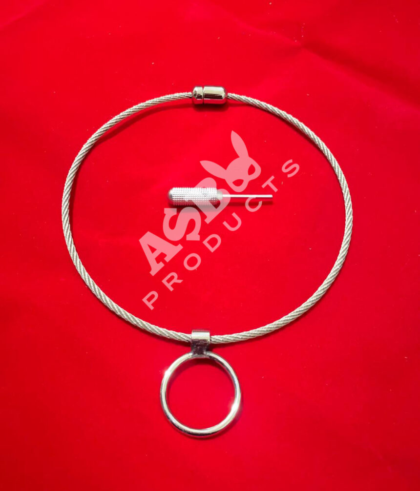 Round Slave Collar with Stainless Steel – ASB Products
